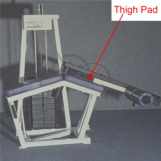 Thigh Pad | Full Circle Padding