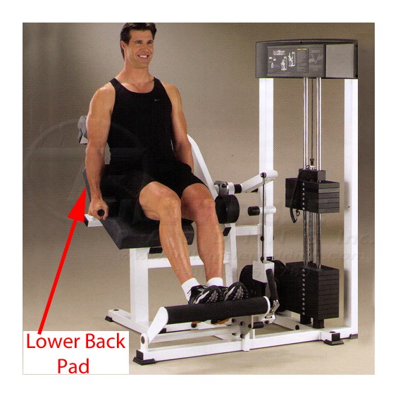 Lower Back Pad PARA142 | Full Circle Padding