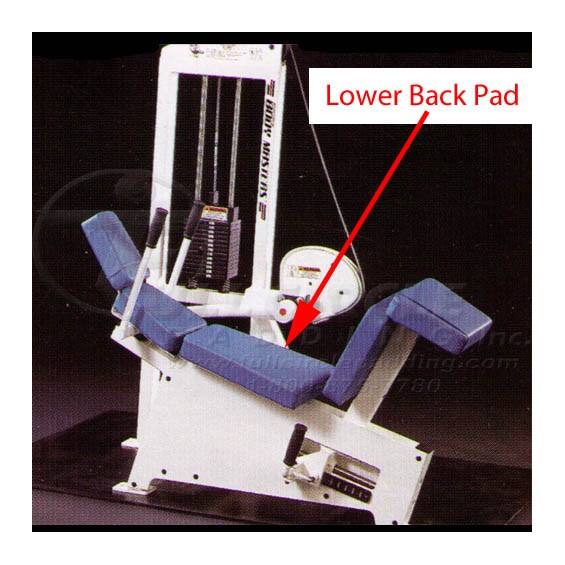 Lower Back Pad BM348 | Full Circle Padding
