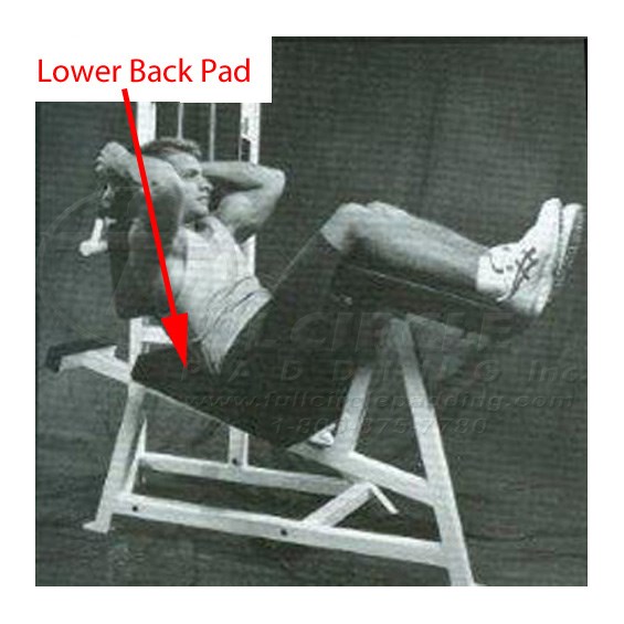 Lower Back Pad BM130 | Full Circle Padding