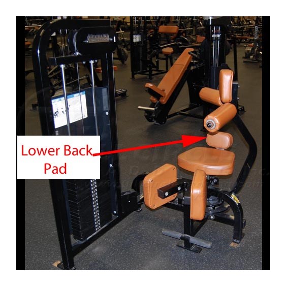 Lower Back Pad MAGN027 | Full Circle Padding