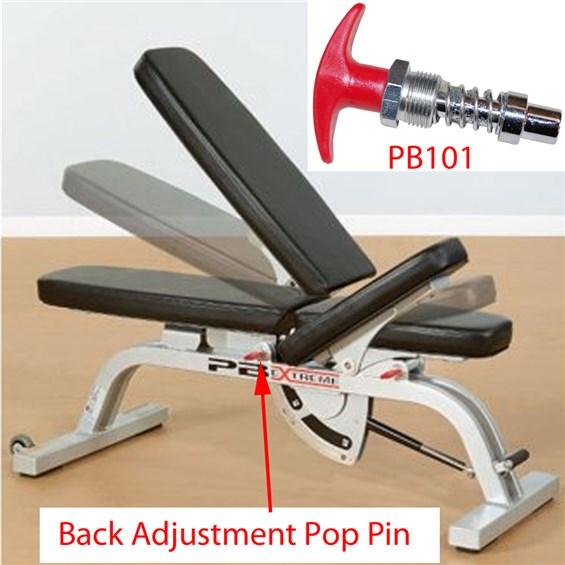 Short Pop Pin Assembly | Full Circle Padding