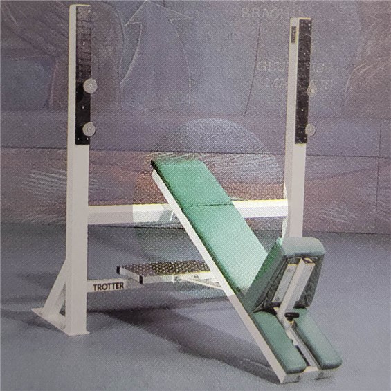 Back Pad | Full Circle Padding