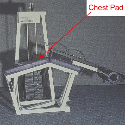 Chest Pad | Full Circle Padding