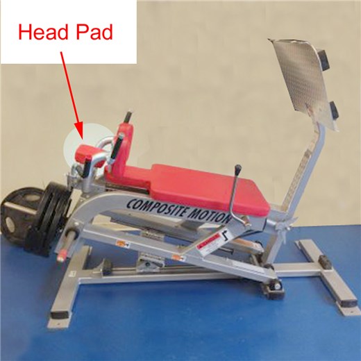 Head Pad | Full Circle Padding