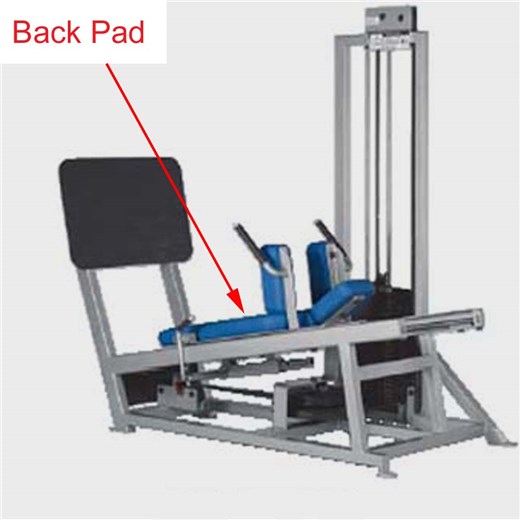 Back Pad | Full Circle Padding