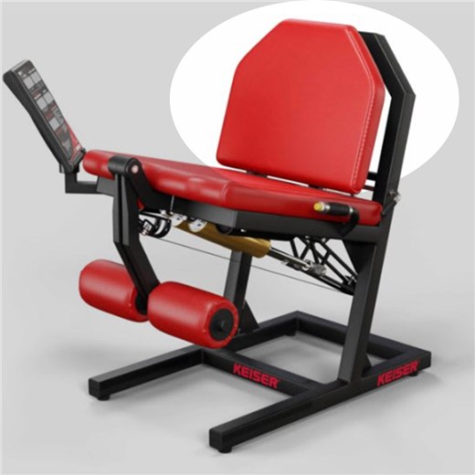 Back Pad | Full Circle Padding