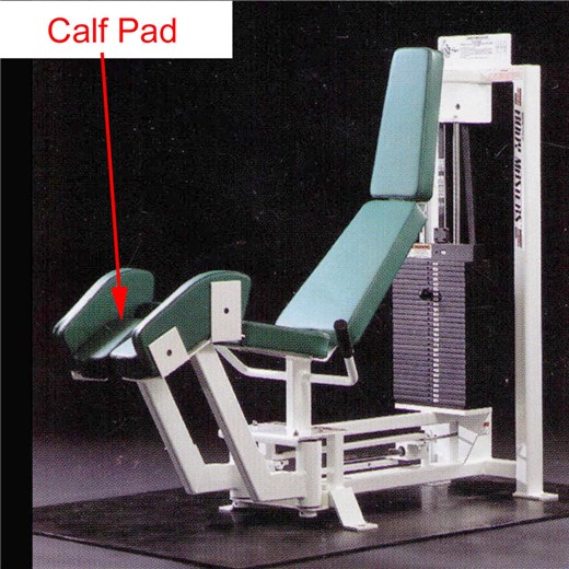 Calf Pad | Full Circle Padding