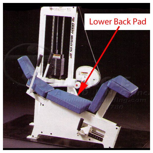 Lower Back Pad BM348 | Full Circle Padding