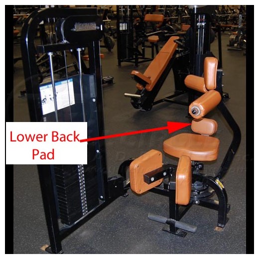 Lower Back Pad MAGN027 | Full Circle Padding
