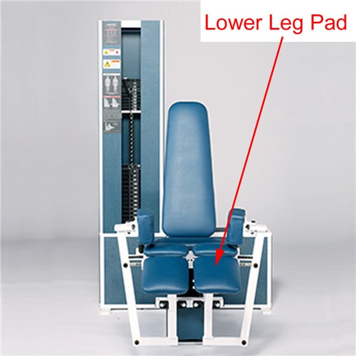 Lower Leg Pad | Full Circle Padding