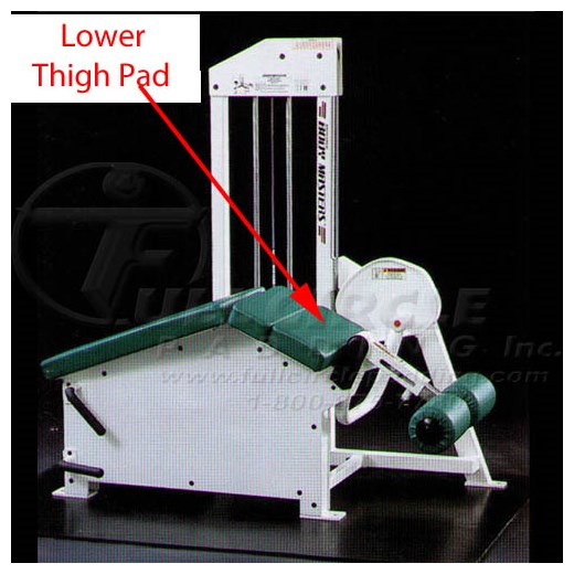 Lower Thigh Pad BM095 | Full Circle Padding
